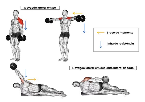 Elevação lateral - Dicas CEFAD